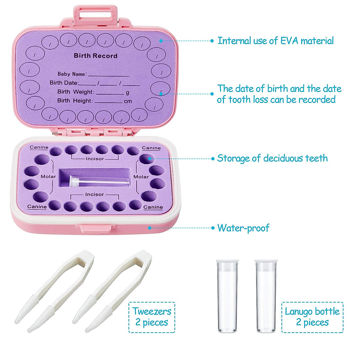 Jetec 2 Pieces Baby Teeth Keepsake Box PP Tooth Fairy Box Kids Tooth Storage Holder Organizer for Lost Teeth Cute Kids Deciduous Collection to Keep the Childhood Memory(Blue and Pink)