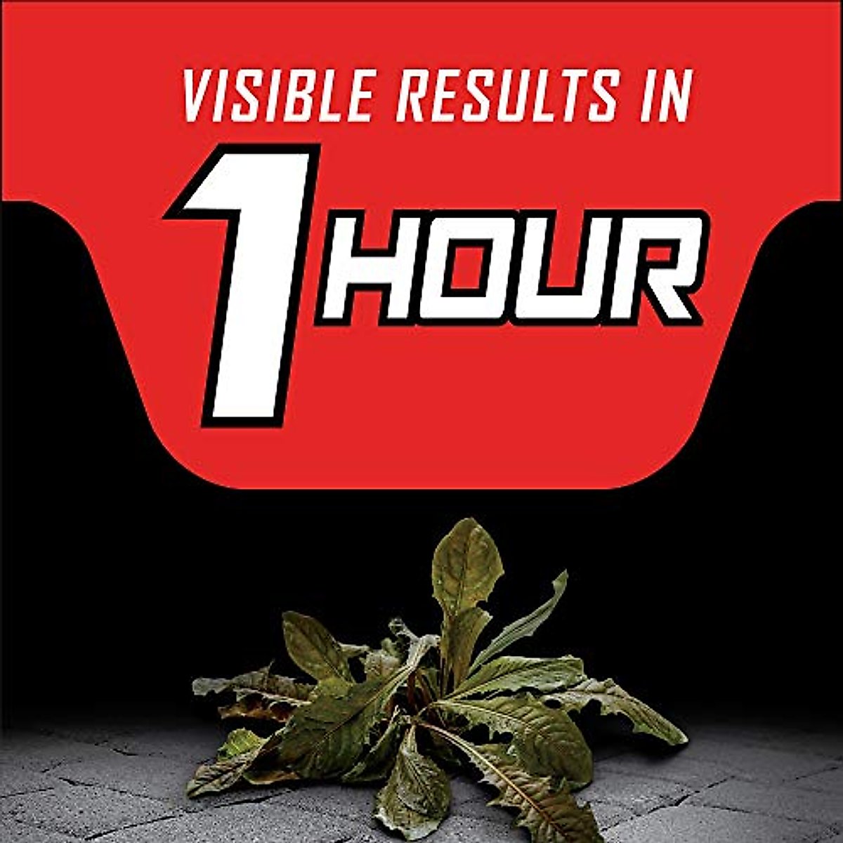 Ortho GroundClear Year Long Vegetation Killer Refill - Visible Results in 1 Hour, Kills Weeds and Grasses to the Root, Up to 1 Year of Weed and Grass Control, 1.33 gal.