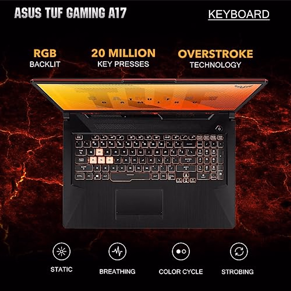 ASUS TUF A17 17.3" 144Hz FHD Gaming Laptop, AMD Ryzen 5 4600H, NVIDIA GeForce GTX 1650, 64GB DDR4 RAM, 2TB PCIe SSD, RGB Backlit Keyboard, Win 11, Black, 32GB Snowbell USB Card