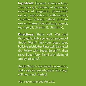 Cloud Star, Buddy Wash Green Tea Bergamot, 16 Ounce