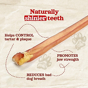 Natural Farm Odor-Free Thin Bully Sticks (6”, 10-Pack) All-Natural Long-Lasting Dog Chews, 100% Beef Pizzle, Grass-Fed, Grain-Free, Protein for Muscle Development & Energy, Perfect for Medium Chewers