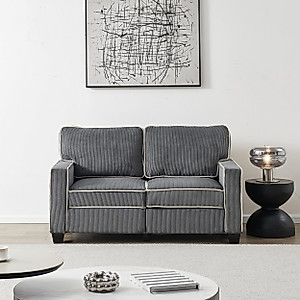 FANYE Gray 2 Accent Deep Cushions Seaters Plastic Legs Loveseat Double Couch with Storage, Modern Corduroy Upholstery Sofa Love Seat W/Square Armrest for Home Office Apartment Small Space Living Room
