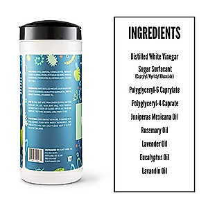 Aunt Fannie's Bundle: Floor Cleaner Vinegar Wash (Eucalyptus) + Vinegar Cleaning Wipes (Eucalyptus)