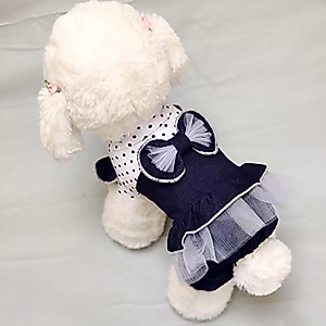 Pet Clothes Hangers for Small Dogs Dresses Thickening Four Legs Pet Clothing Princess Bow Denim Skirt