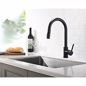 Kitchen Faucet with Purifier Faucet Matte Black Color