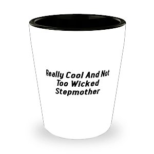 Useful Stepmother, Really Cool And Not Too Wicked Stepmother, Nice Shot Glass For Mom From Son