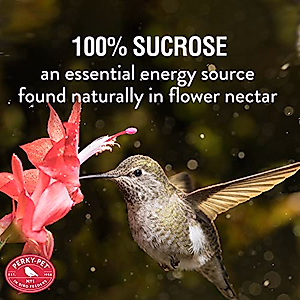 Perky-Pet 255 Hummingbird Nectar 64 Oz Liquid Concentrate - Makes 256 Oz of Hummingbird Nectar