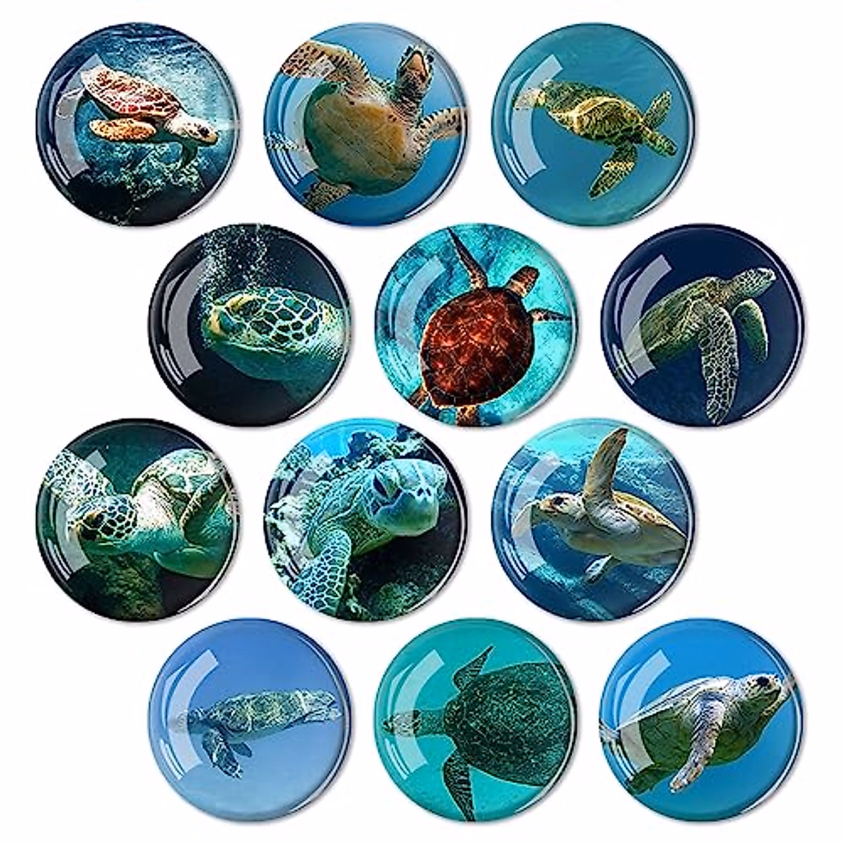 Glass Strong Animals Refrigerator Magnets,12 Pcs Decorative Magnets for Fridge Lovely Decor for Home Kitchen Office Whiteboard (Turtle Refrigerator Magnet)