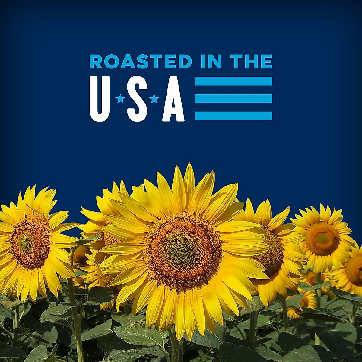 BIGS Flavored Ranch Flavored Sunflower Seeds - 5.35 oz Bags (Pack of 3) - With Mighty Merchandise Bag Clip