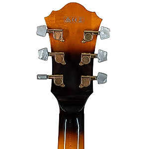 Ibanez George Benson Signature 6-String Electric Guitar (Brown Sunburst)