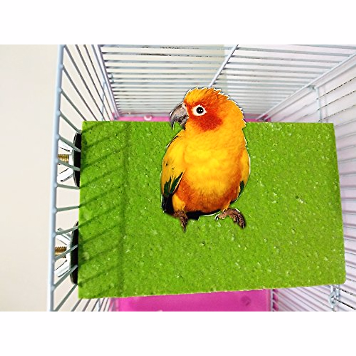 Hypeety Colorful Bird Perch Stand Platform for Parrot Macaw African Greys Budgies Parakeet Cockatiels Natural Wood Paw Grinding Clean Cage Toy (Random Color)(B)