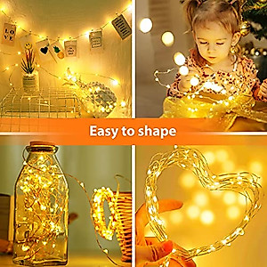 litogo 24 Pack Fairy Lights Battery Operated, 7ft 20 LED Waterproof Fairy String Lights Small Mini Light for Mason Jars Vases Table Centerpieces Wedding Decorations Christmas Tree, Warm White