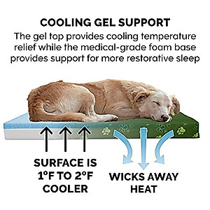 Furhaven XL Cooling Gel Foam Dog Bed Water-Resistant Indoor/Outdoor Garden Print Mattress w/ Removable Washable Cover - Jungle Green, Jumbo (X-Large)