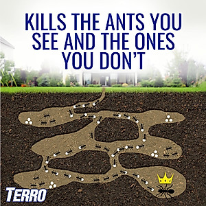 TERRO Liquid Ant Killer ll T200, 2 oz