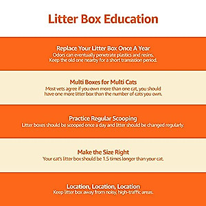 Amazon Basics No-Mess Hooded Cat Litter Box, Large, Multicolor, 24 in x 18 in x 17 in