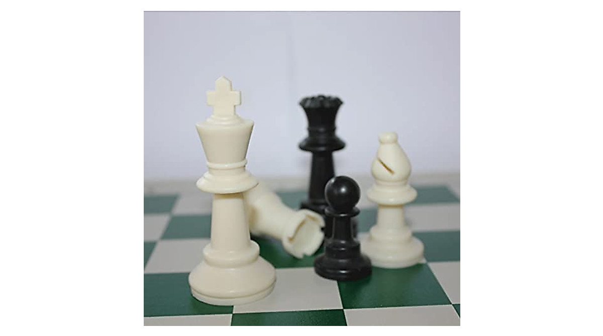 LYUN 2-in-1 Travel Chess Set for Kids & Beginners