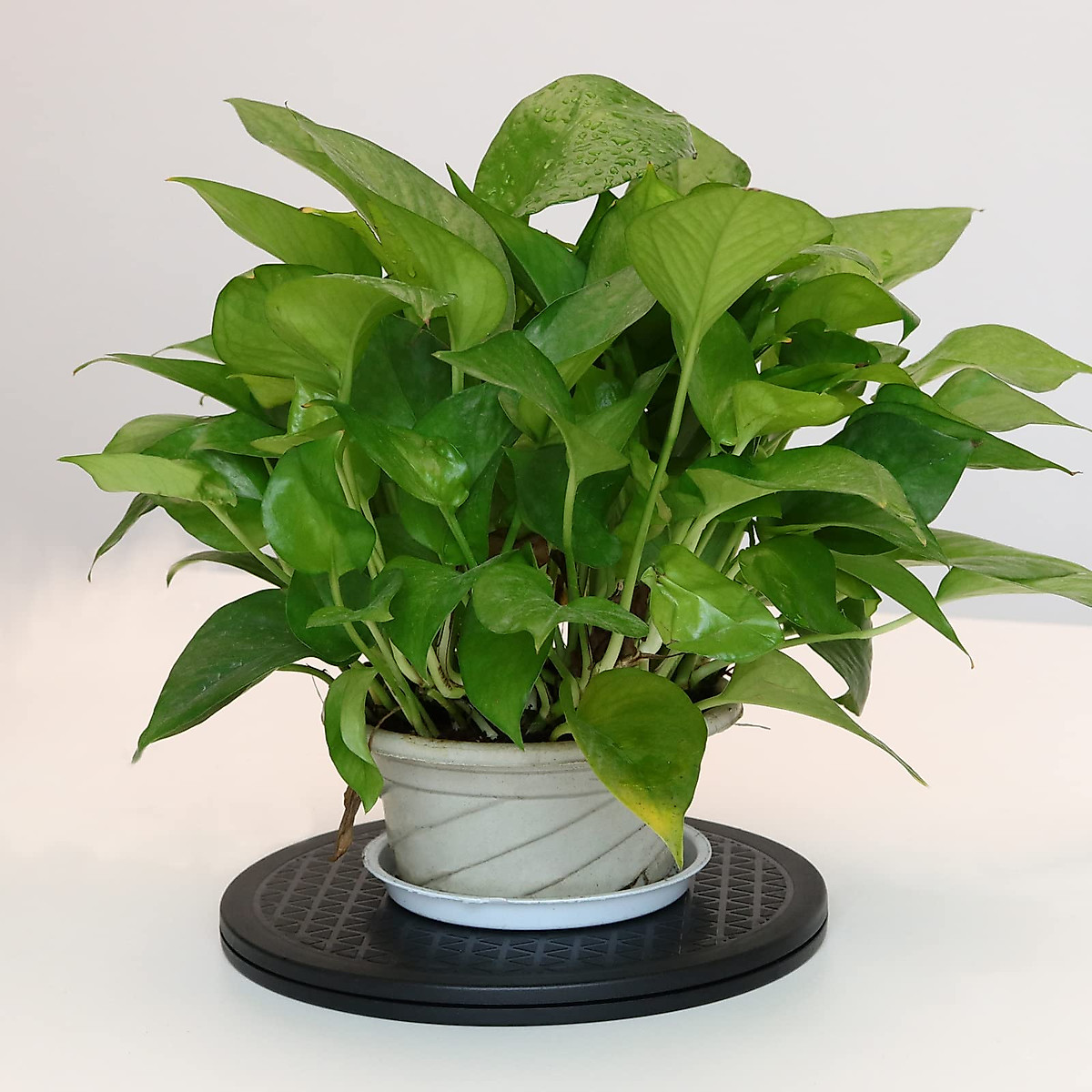 MUKCHAP 4 Pack 10 Inch Rotating Swivel Stand Turntable, 360° Round Swivel Turntable with Steel Ball Bearings, Multi-use Lazy Susan for Various Utility Uses, 55 Lbs Carrying Capacity