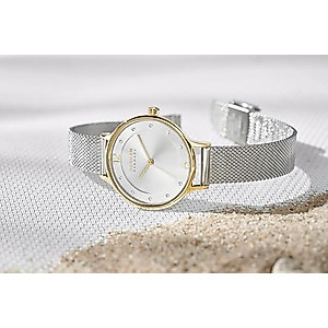 Skagen Women's Anita Lille Three-Hand Silver and Gold Two-Tone Stainless Steel Mesh Band Watch (Model: SKW2340)