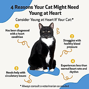 Pet Wellbeing Young at Heart for Cats - Vet-Formulated - Supports Cardiovascular (Heart & Circulatory) Health - Natural Herbal Supplement 2 oz (59 ml)