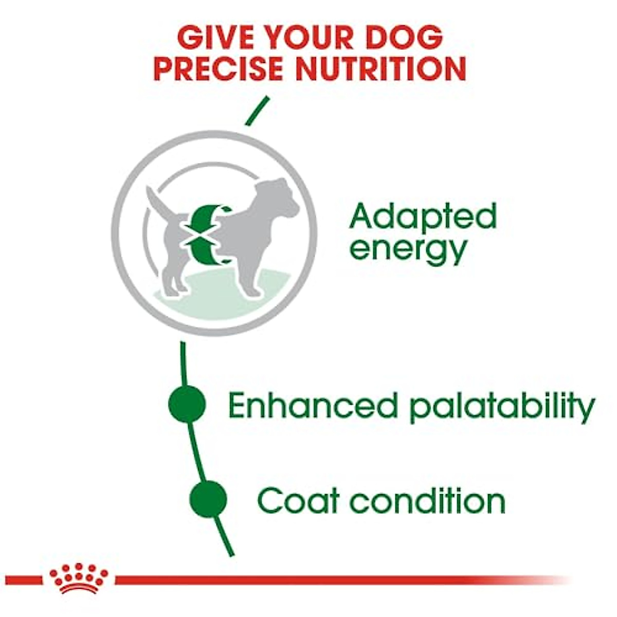 Royal Canin Small Breed Adult Dry Dog Food, 2.5 lb bag