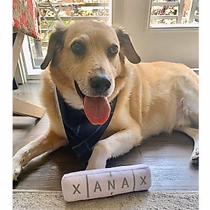 Nestpark Chill Pup Funny Dog Toy - Parody Plush Squeaky Crinkle Dog Toy