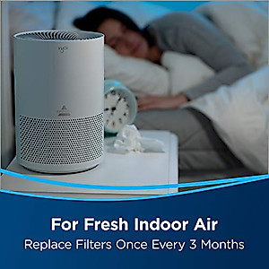 BISSELL® MYair™+ and MYair™ HUB HEPA and Carbon Filter, 3389 & (2801 MYair Personal Air Purifier Replacement Filter, 1 Count (Pack of 1)