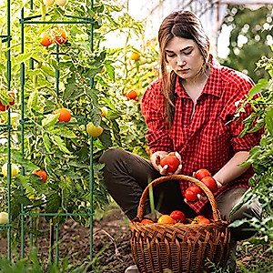 DoCred 3 Pack Tomato Cage, Plant Supports Garden Stakes, Up to 49IN Multi-Functional Garden Trellis Stakes for Climbing Plants Vegetables Flowers