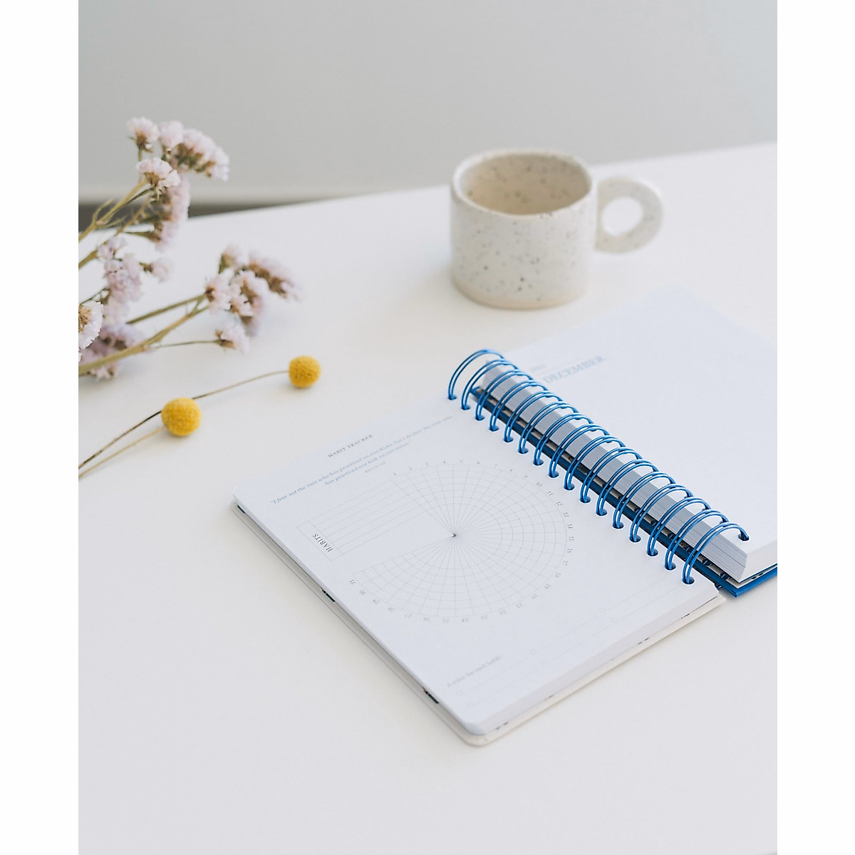 Grupo Erik Disney Alice In Wonderland Diary 2023-2024 | Back To School 12 Months Academic Diary Day To Page A5 | August 2023 - July 2024 | Mid Year Diary 2023-2024 With Stickers | Disney Gifts