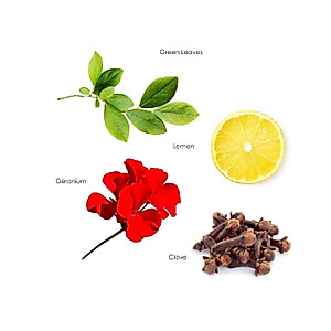 Gilchrist & Soames London Conditioner - 15.5oz - Antioxidant Rich, All Hair Types, Zero Parabens, Sulfates, and Phthalates