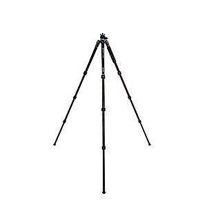 Benro FGP28A SystemGo Plus Tripod Only, Travel, Aluminum with Monopod, Black