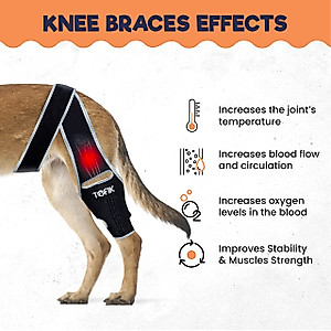 TOFIK Dog Knee Brace for Torn ACL Hind Leg – Premium Neoprene Dog Sling for Large Dogs Hind Leg Support – Washable and Reusable Dog Leg Brace with Flexible Springs (M, Silver)