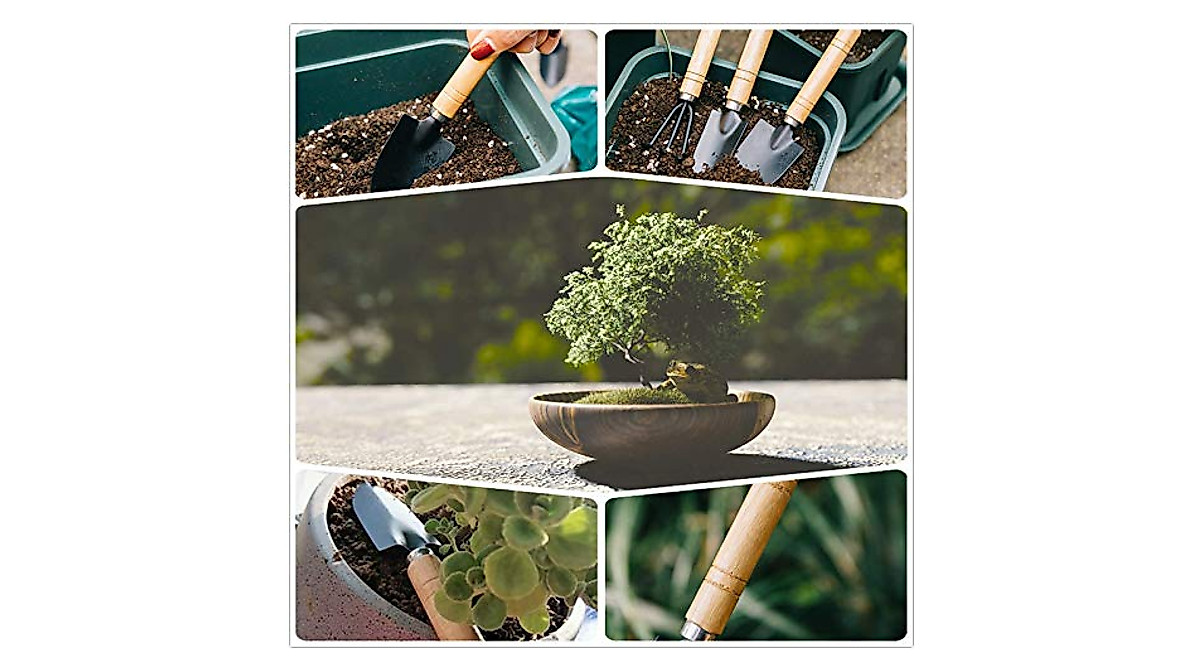 Essential 8-Piece Bonsai Tool Kit for Indoor Gardening