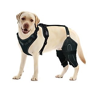 LISPOO Dog Acl Knee Brace for Torn Acl Leg，Luxating Patella，Dog Knee Braces for Back Leg Warm Joint and Relieves Joint Pain,Better Recovery with Dog Acl Knee Brace(L)