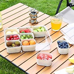 2 Pack Portable Picnic Parties Fruit Tray, 9 Compartment Fridge Food Veggie Condiment Divided Serving Preservation Storage Containers, Kitchen Clear Snackle Box Candy Organizer with Lid Handle