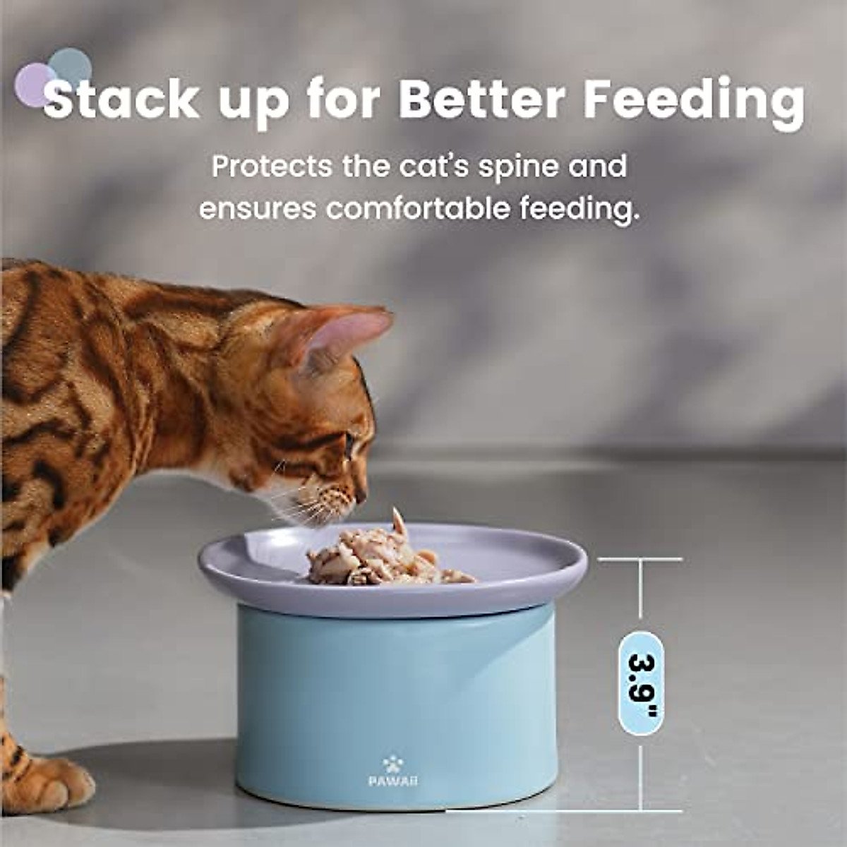 Pawaii Ceramic Cat Bowl, Combined Type Elevated Cat Bowl, Whisker Fatigue Cat Bowl, Dishwasher and Microwave Safe, One Elevated Cat Bowl and One Dish