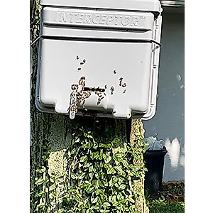 THE INTERCEPTOR PRO Honeybee Swarm Trap - NO FRAMES -UNASSEMBLED (10 minute assembly) - Also includes tree strap & hooks.