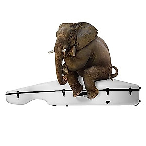 4/4 Full Size Cello Case, 4K Carbon Fiber Hard Shell Backpack, also Fits for 3/4, Ultralight as 5.7 LB Only, with Hygromether and Accessory Bag, Sturdy, Portable and Waterproof (Matte White)