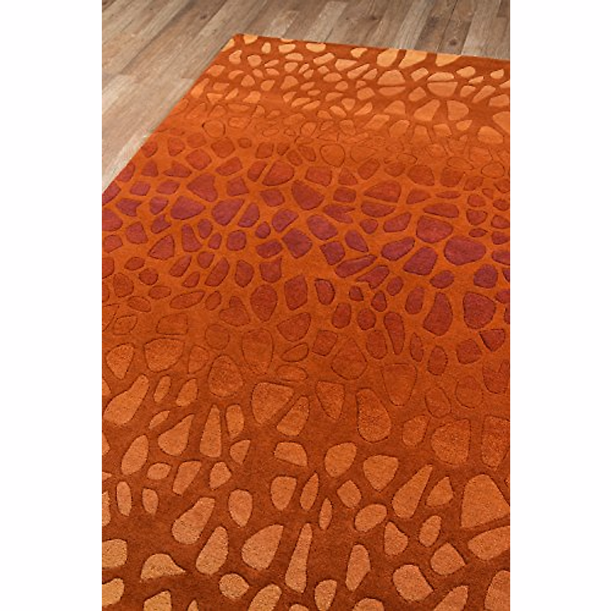 Momeni Rugs Delhi Collection Area Rug, 5' x 8', Paprika