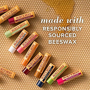 Burt's Bees Lip Balm Easter Basket Stuffers, Moisturizing Lip Care Spring Gift, for All Day Hydration, 100% Natural, Ultra Conditioning with Shea, Cocoa & Kokum Butter (2 Pack)