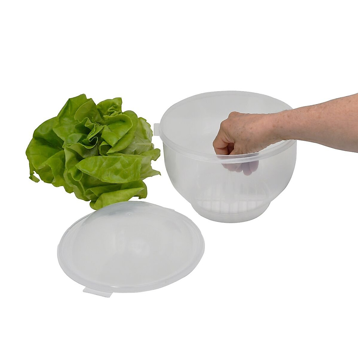 Lettuce Keeper | Vegetable and Fruit Crisper | Lettuce Crisper Salad Keeper Container Keeps your Salads and Vegetables Crisp and Fresh-7" X 8"- by Home-X