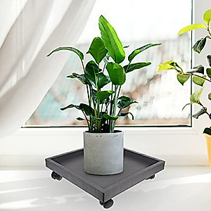 DOITOOL Square Plant Caddy Wheel Plant Pot Tray Removable Planter Trolley Casters Rolling Tray Coaster Garden Moving Plant Pot Saucer (Grey)