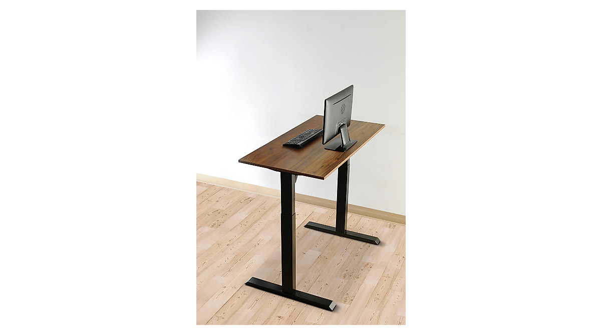 TechOrbits 47 Inch Electric Standing Desk – Adjustable & Modern