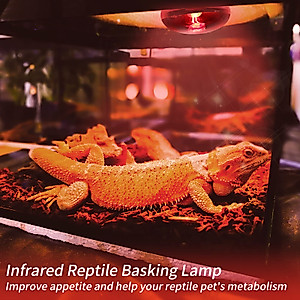 REPTI HOME Infrared Reptile Heat Lamp Bulbs,2 PCS 100W Reptiles & Amphibians Infrared Basking Spot Lamp Bulb, Red Heat Emitter light for Chickens Coop
