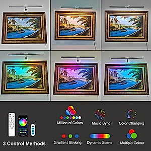 ACNCTOP Picture Light RGB Display Lighting - Colorful Wall Art Light with APP Music Sync Multi Dynamic Modes LED lights for paintings Frame Artworking Portrait Gallery Tapestry Home Wall Decor
