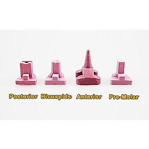 32pcs Ceramic Firing Pegs for Crowns and Bridges in Porcelain Furnace