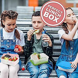 By Caleb Company 3 Pack Pink Bento Boxes - 39 Ounce Divided Food Storage Containers With Lids - Leakproof, BPA Free Bento Lunch Box for Adults & Kids Lunches Is Safe For Dishwasher & Microwave