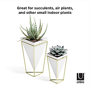 Umbra - 1004372-524 Trigg Desktop Planter Vase & Geometric Container-for Succulent, Air, Mini Cactus, Faux Plants and More, Desk, White/Brass