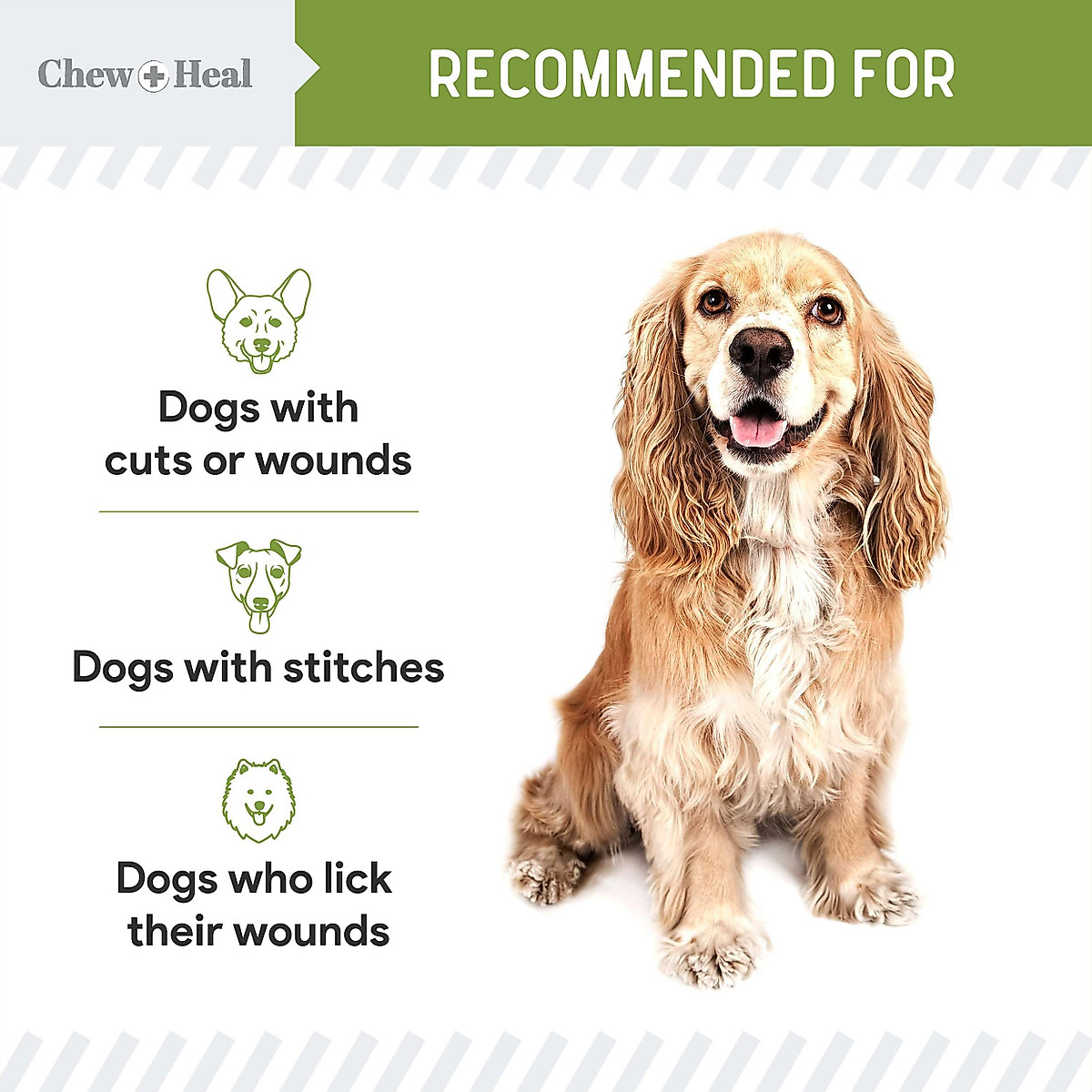 Pet Liquid Bandage for Dogs - 4 oz Spray with Aloe - Wounds Care for Dogs Including Cuts, Scrapes, and Stitches - Breathable and Waterproof