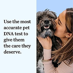Wisdom Panel Essential: Most Accurate Dog DNA Test Kit for Breed ID and Ancestry | 25+ Genetic Health Conditions | Traits | Relatives | 1 Pack