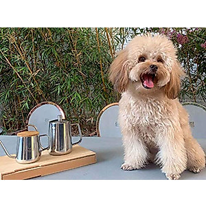 MERMOO YILAN Pour Over Drip Kettle 350ml Stainless Steel Gooseneck Coffee Kettle Long Narrow Spout Hand Drip Coffee Tea Pot with Lid